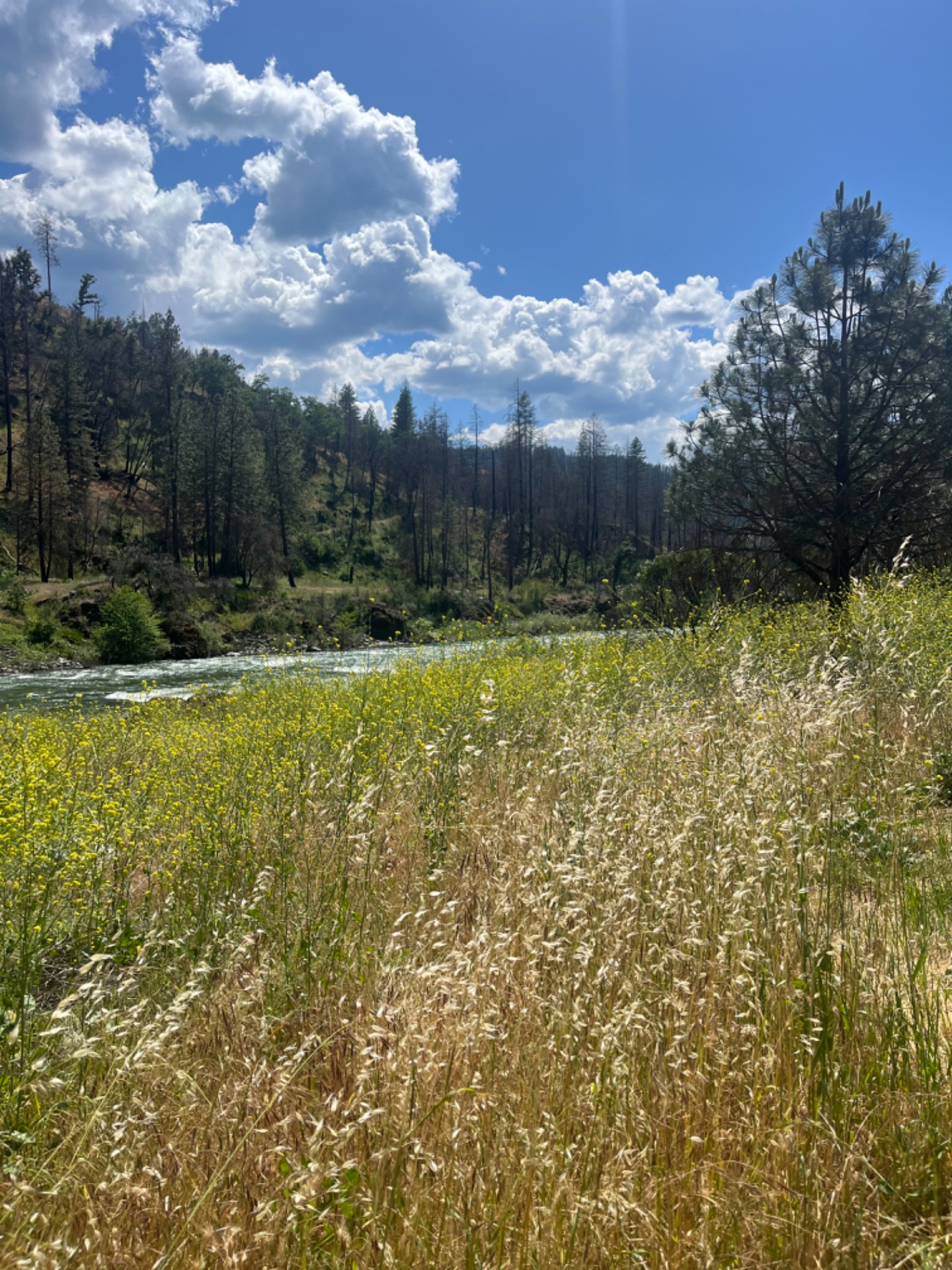 Things to do in Redding, CA