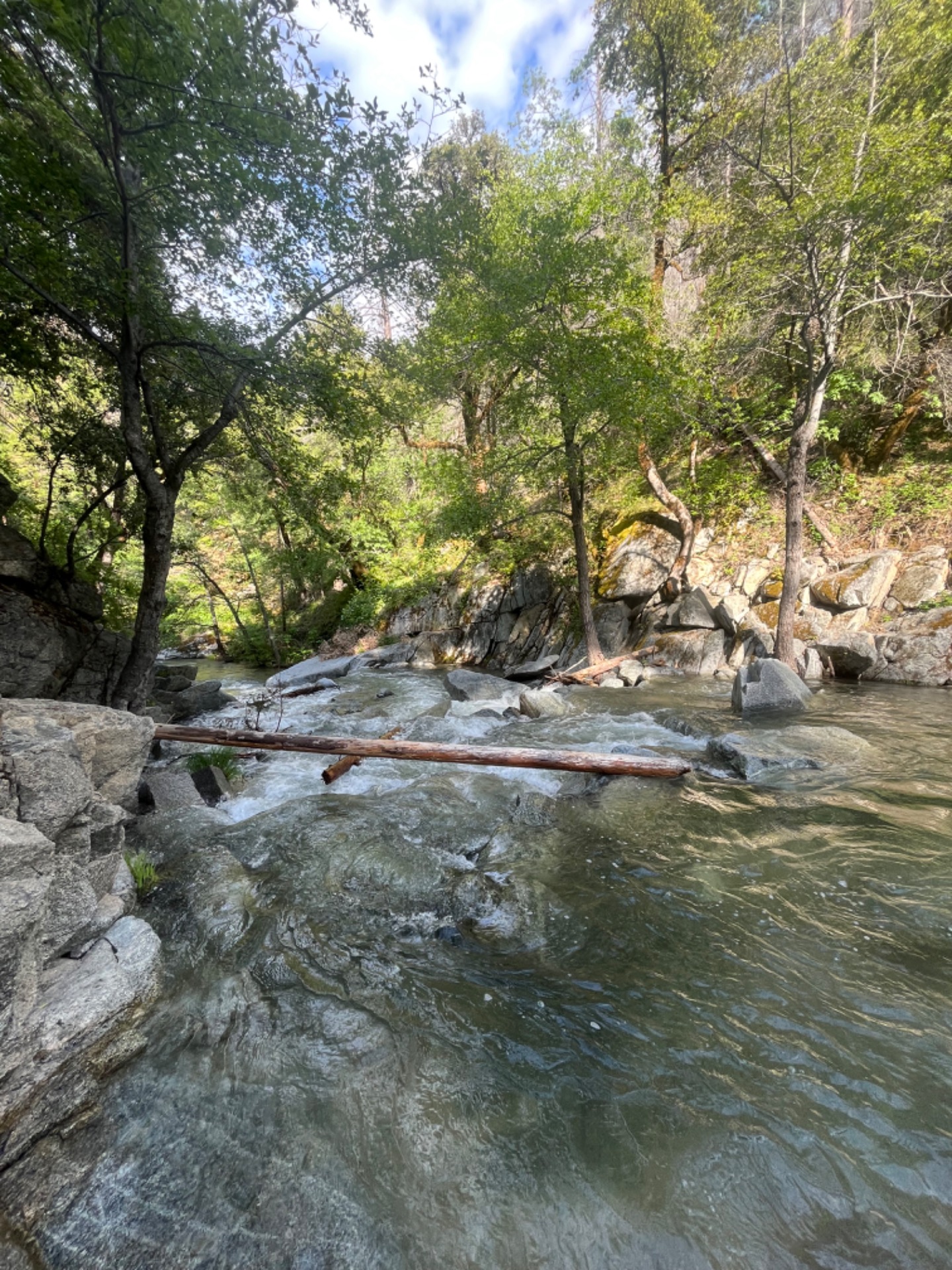 Things to do in Redding, CA